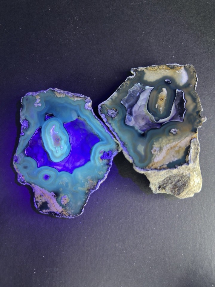 Agatized Fossil Coral Geode Pair Rare Color Cut & Polished | eBay