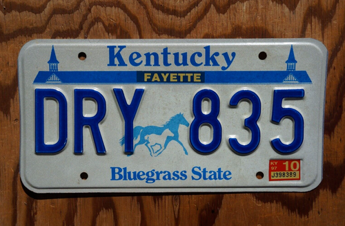 KENTUCKY Bluegrass State License Plate # DRY 835 | eBay