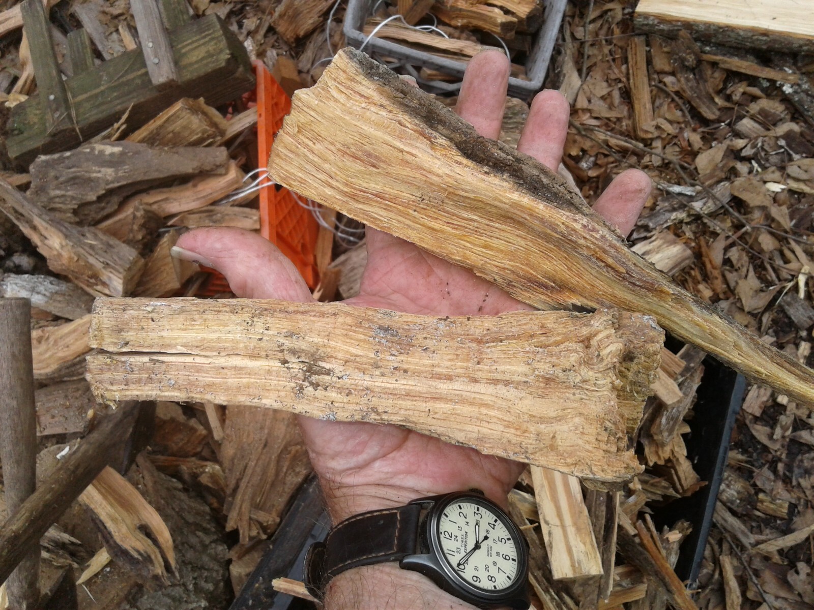 Fat Lighter Wood perfect for bug out bags, stashes, campers/RV, hiking ...