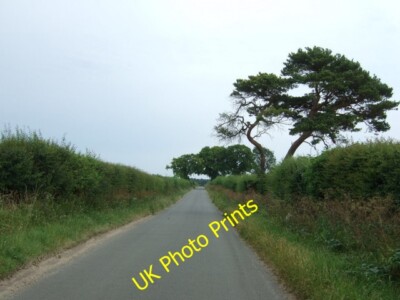 Photo 6x4 Lane at Plas Yn Dinas Tre-derwen c2009 | eBay UK