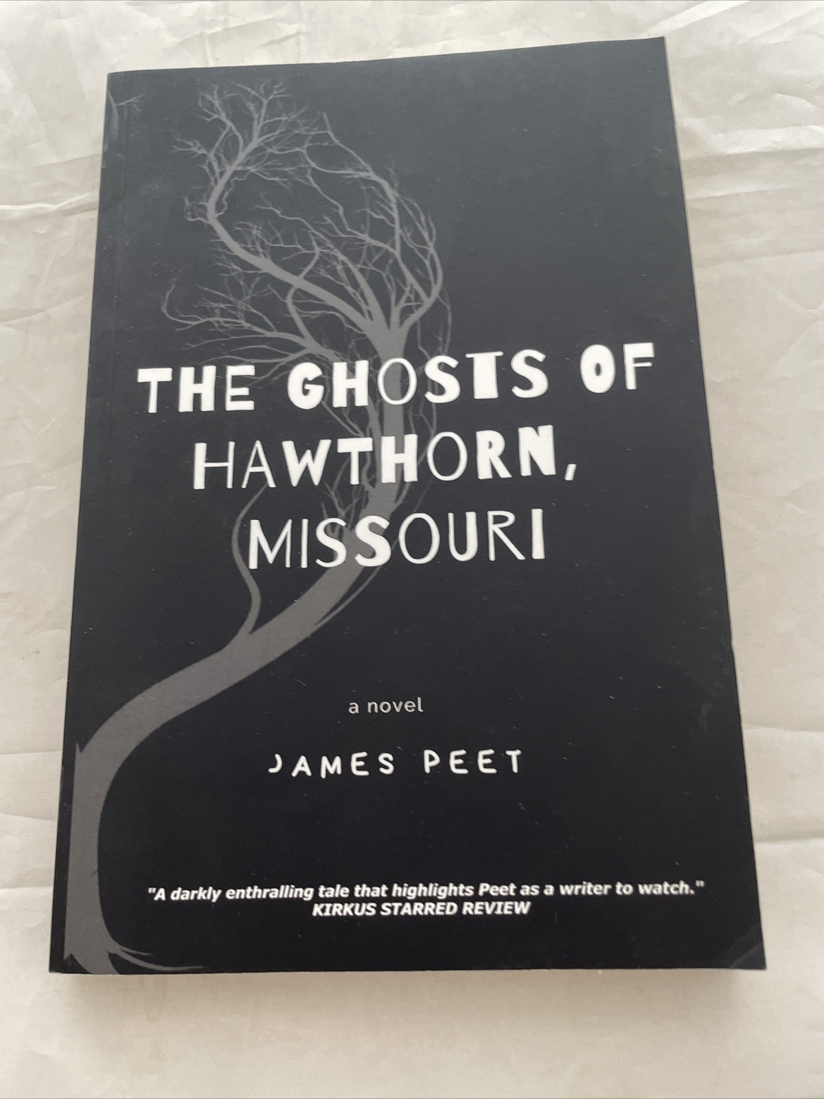 The Ghosts of Hawthorn Missouri James Peet 9781644670514| eBay