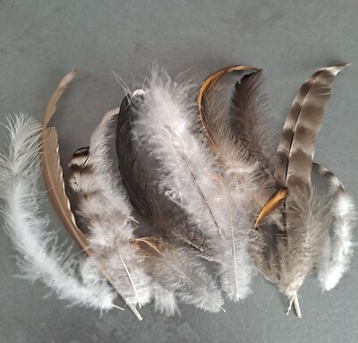 Natural Orpington Feathers Chicken Fascinator Costume Crafts | eBay UK