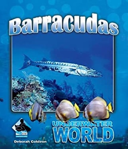 Barracuda Hardcover Deborah Coldiron 9781604531299| eBay