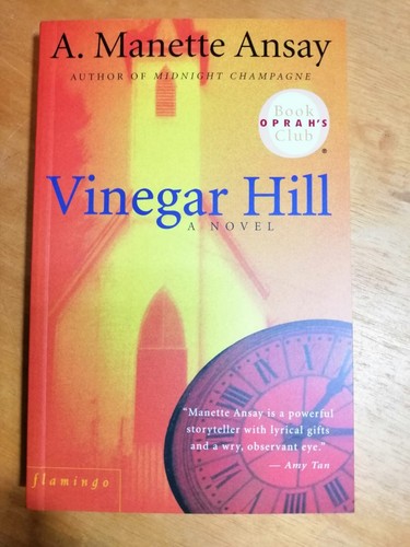 VINEGAR HILL by A. Manette Ansay - Bargain Un-read unwanted gift Brand ...