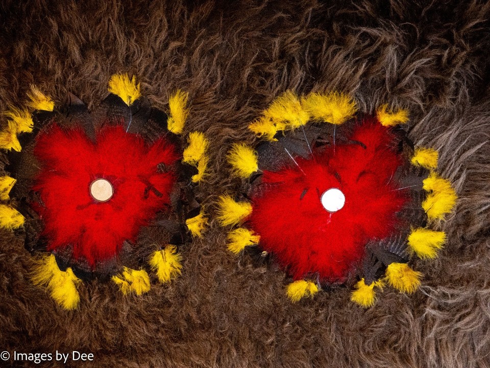 Sioux Chicken Dance Bustle Pow Wow Regalia | eBay