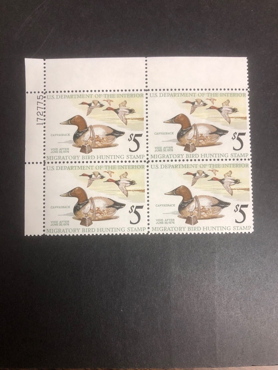 Federal Duck Stamp USPS Scott RW42 $5 Canvasback - Mint Never Hinged ...