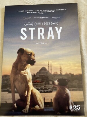 Stray Promo Flyer Only *NOT A DVD* | eBay Australia