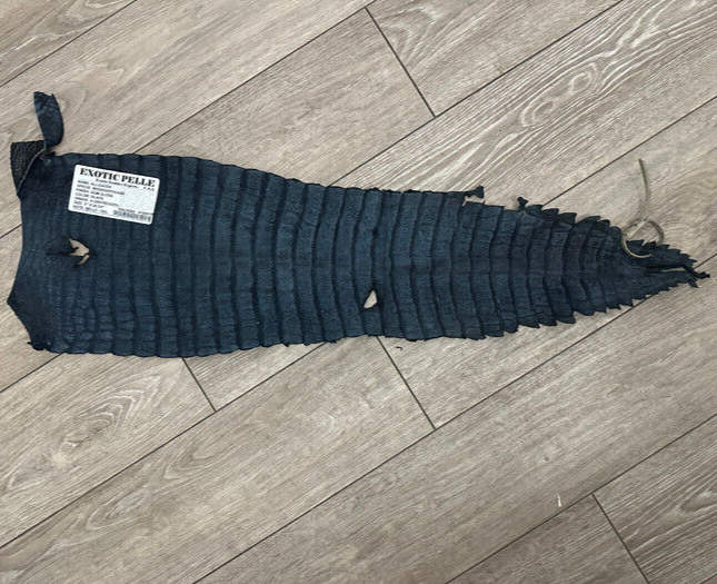 Black Genuine Alligator Tail Hide Leather Skin Piece Scrap Gator Croc ...