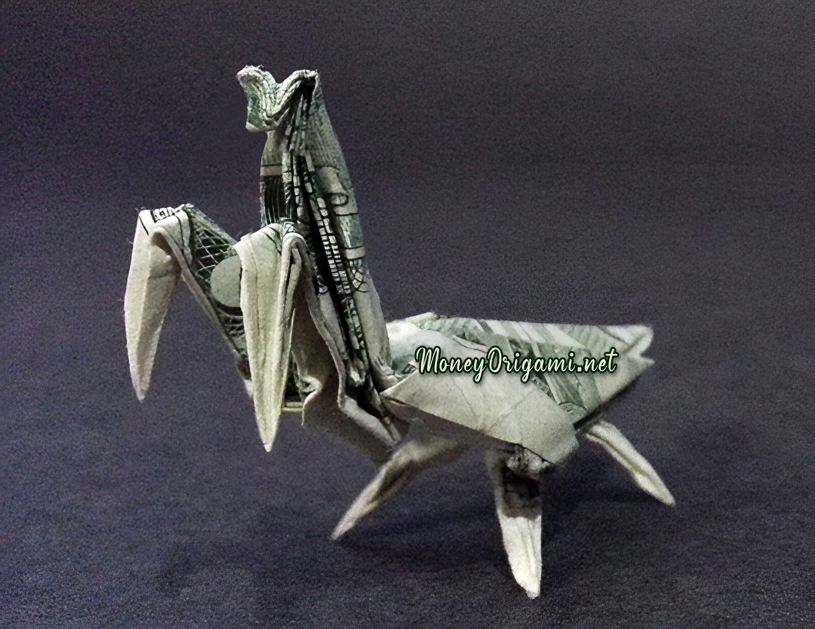 Dollar Origami PRAYING MANTIS Made with REAL MONEY Cash Animal Insect ...