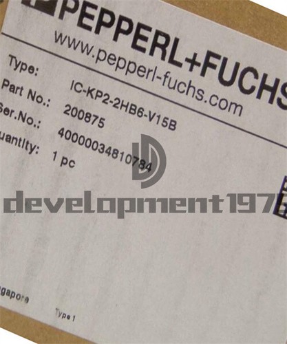 ONE NEW Pepperl+Fuchs Module IC-KP2-2HB6-V15B 200875 | eBay