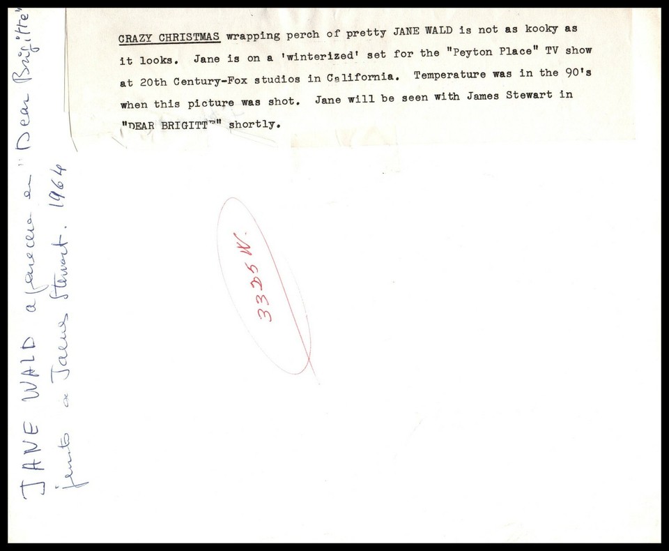 JANE WALD CHEESECAKE SWIMSUIT STUNNING PORTRAIT ORIGINAL 1964 VINTAGE ...