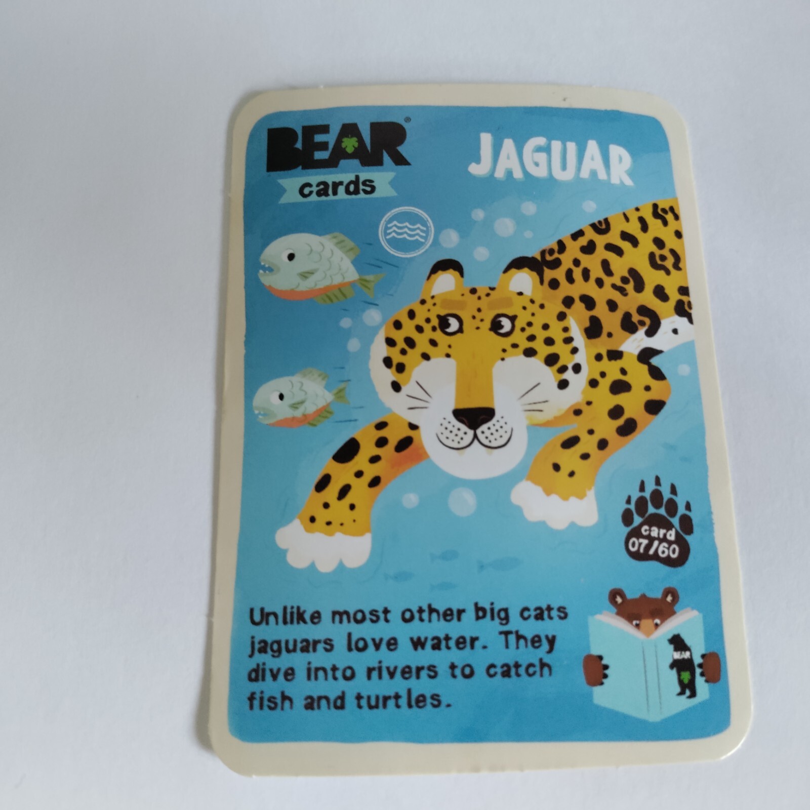 BEAR YOYO CARDS 1-60 PICK YOUR OWN | eBay