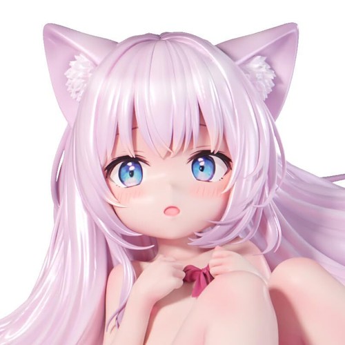Nikkan Girl Chibi Cat Girl Anastasia 1/4 PMMA Figure Insight From Japan ...