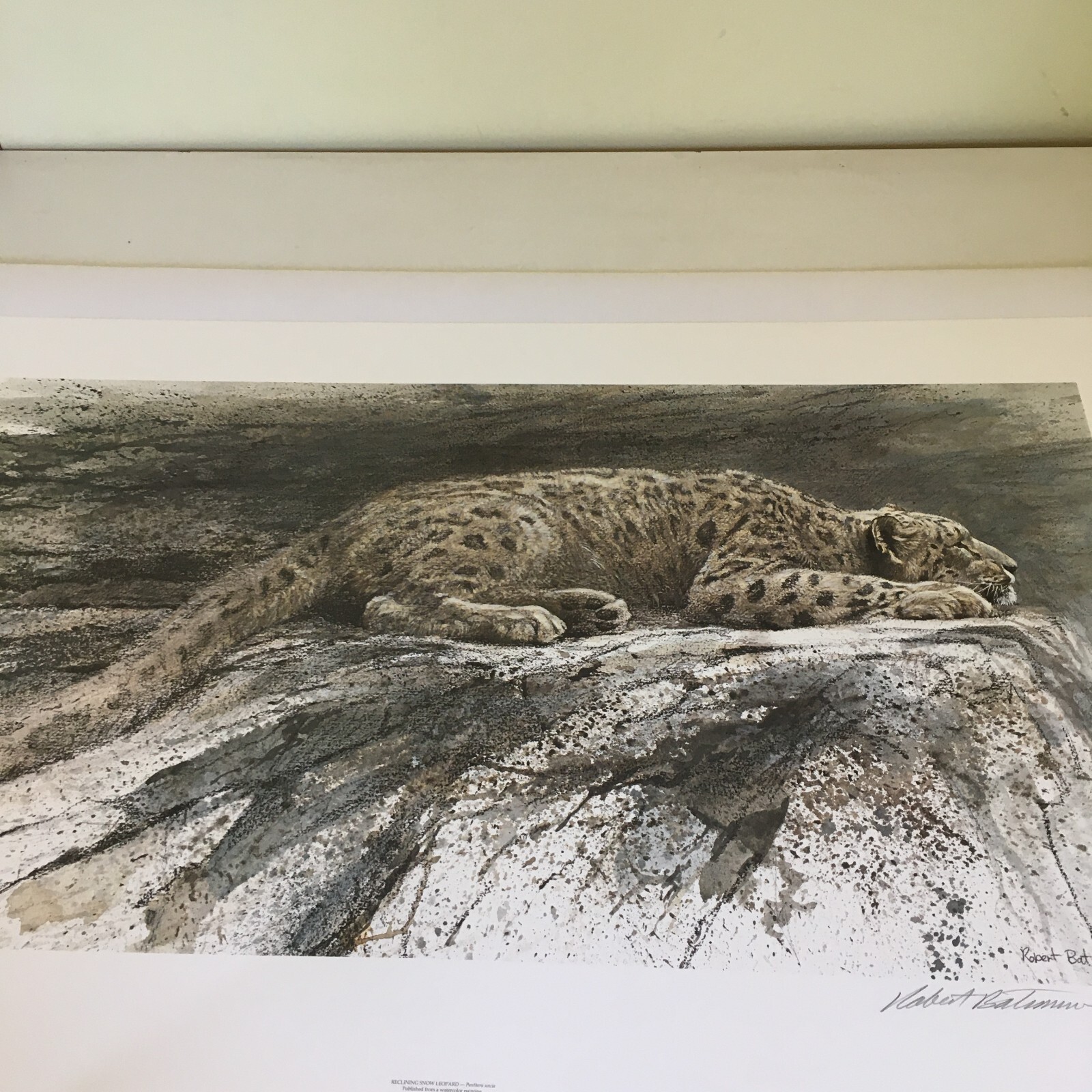 Reclining Snow Leopard-Limited Edition Print-Robert Bateman | eBay