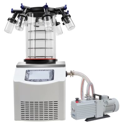 Lab -60℃ Vacuum Freeze Dryer Lyophilizer Standard Chamber with 8 Port ...