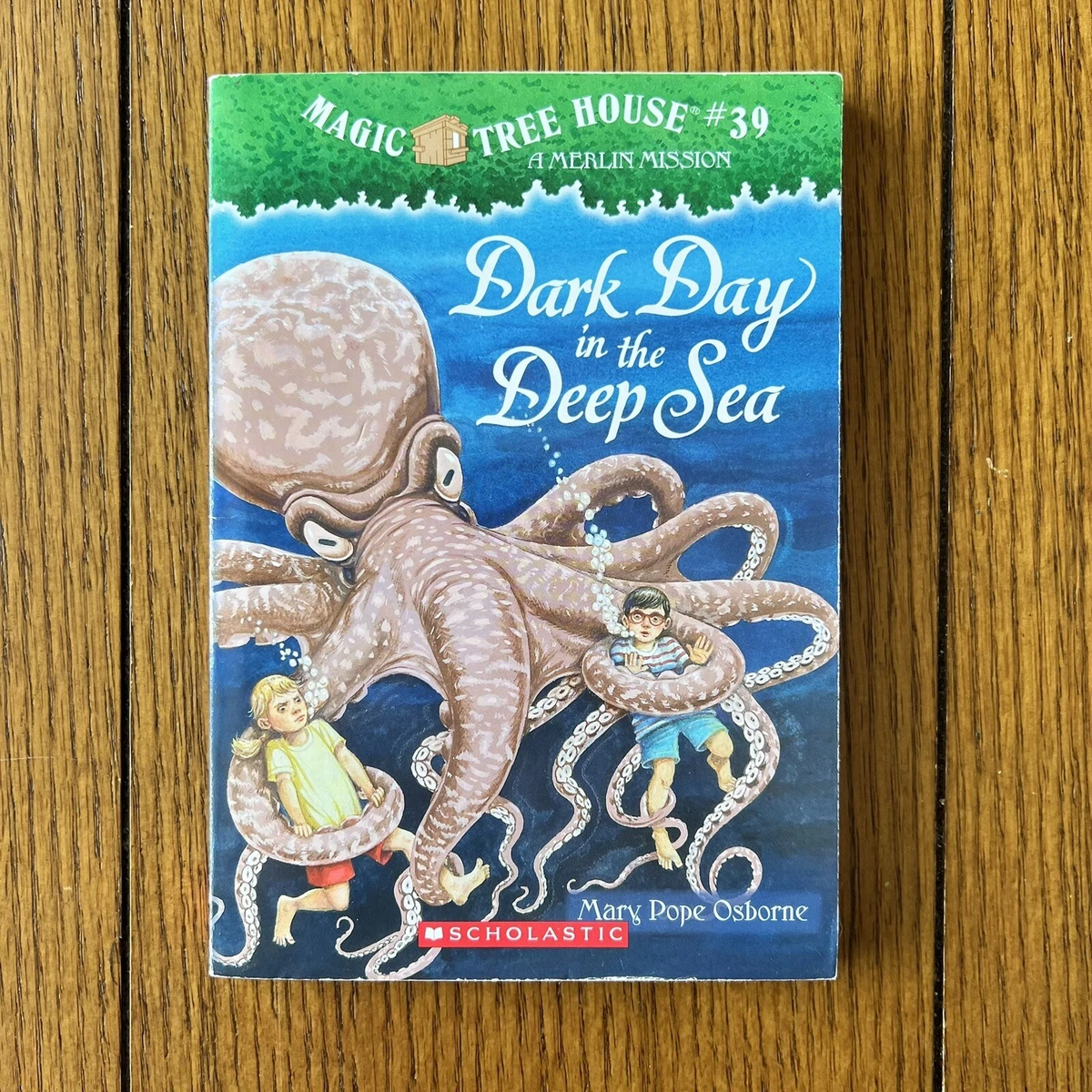 Magic Tree House 39