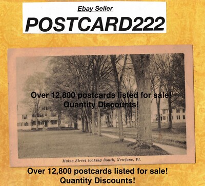 VT Newfane 1930 ? vintage postcard MAINE MAIN ST LK SOUTH LARGE TREES ...