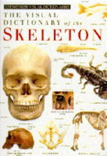 Eyewitness Visual Dict Skeleton (Eyewitness Visual Dictionaries) By ...