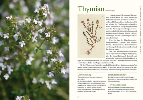 Schwester Chris Kraftquelle Klostergarten: Mit 40 Pflanz (Paperback ...