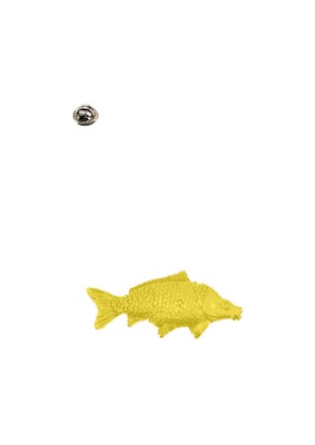 ppf11 Common Carp Fine English Pewter chrome gold colour Pin Badge ...