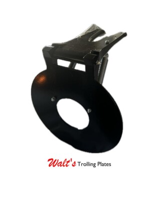 Large Trolling Plate- We are currently on a family trip from 7/20 - 8/4 ...