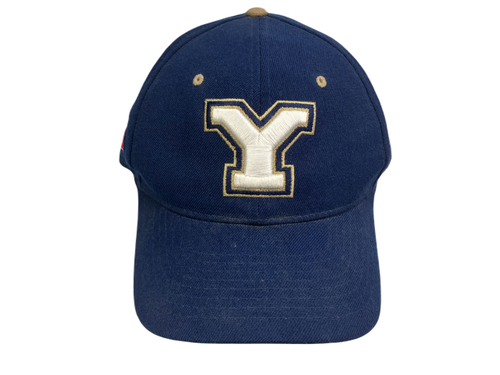 BRIGHAM YOUNG UNIVERSITY BYU Zephyr Blue COLLEGE BASEBALL HAT Fan Cap ...