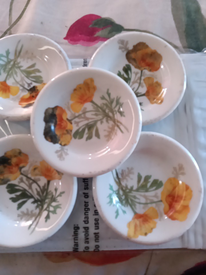 Santa Fee Railroad California Poppy Vintage 3 Inch Plates 5 Total | eBay