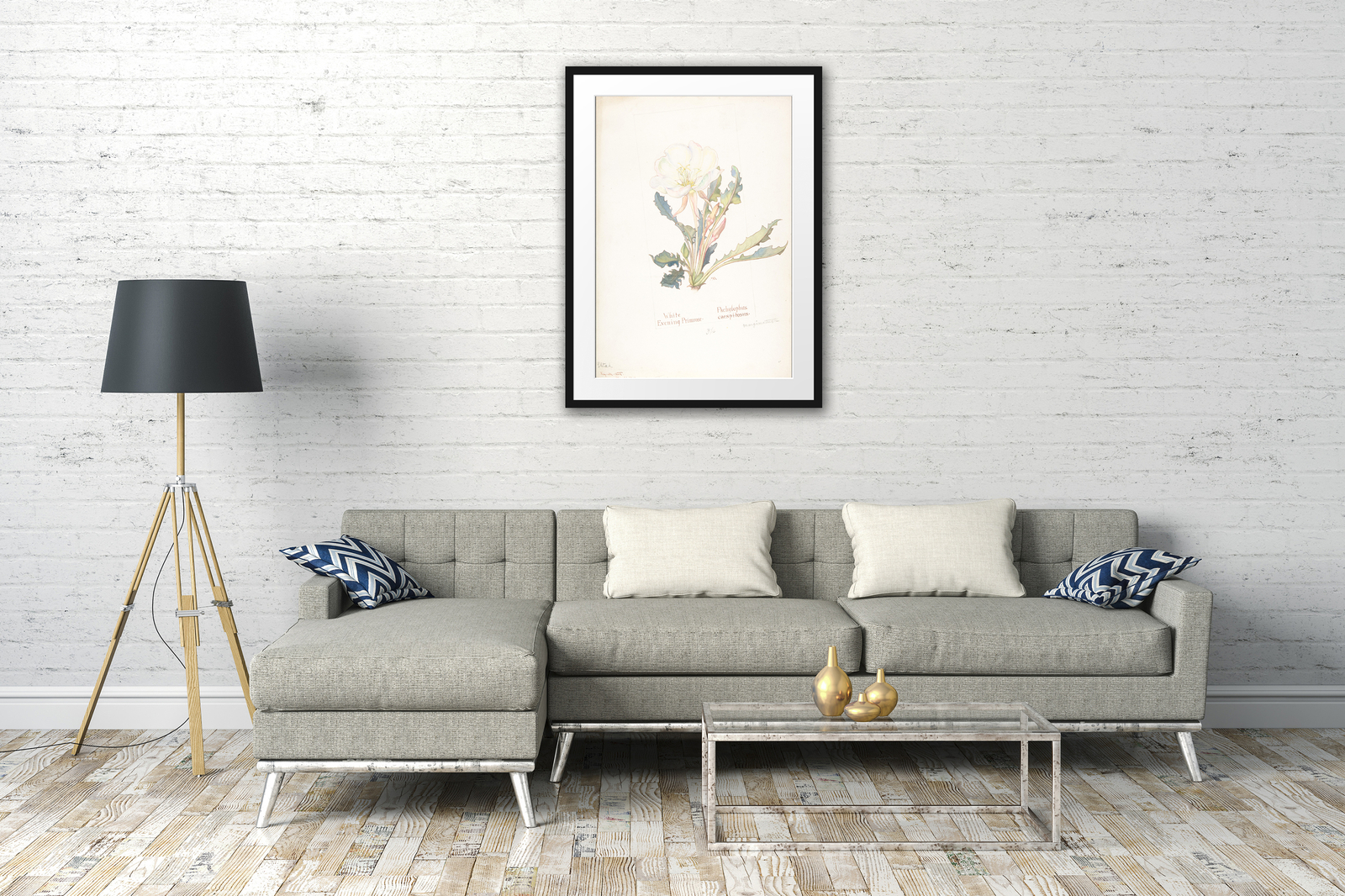 Kunstdruck Margaret Neilson Armstrong - Weiße Nachtkerze, Pachylophus ...