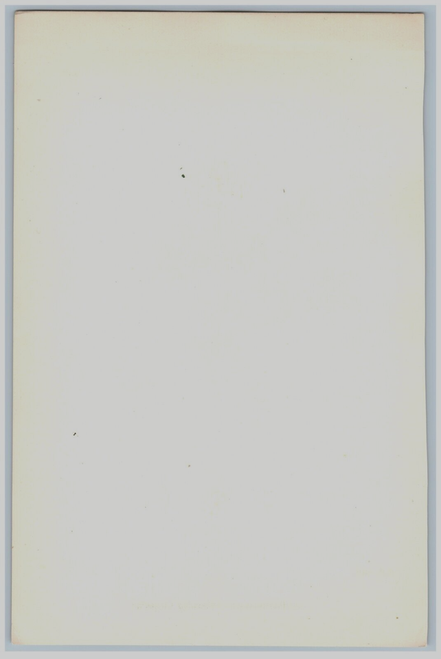 1860's John Sowerby Hand Colored Botanical Print Trailing St. John's ...