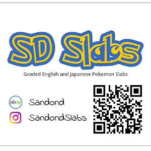 SDSlabs | eBay Stores