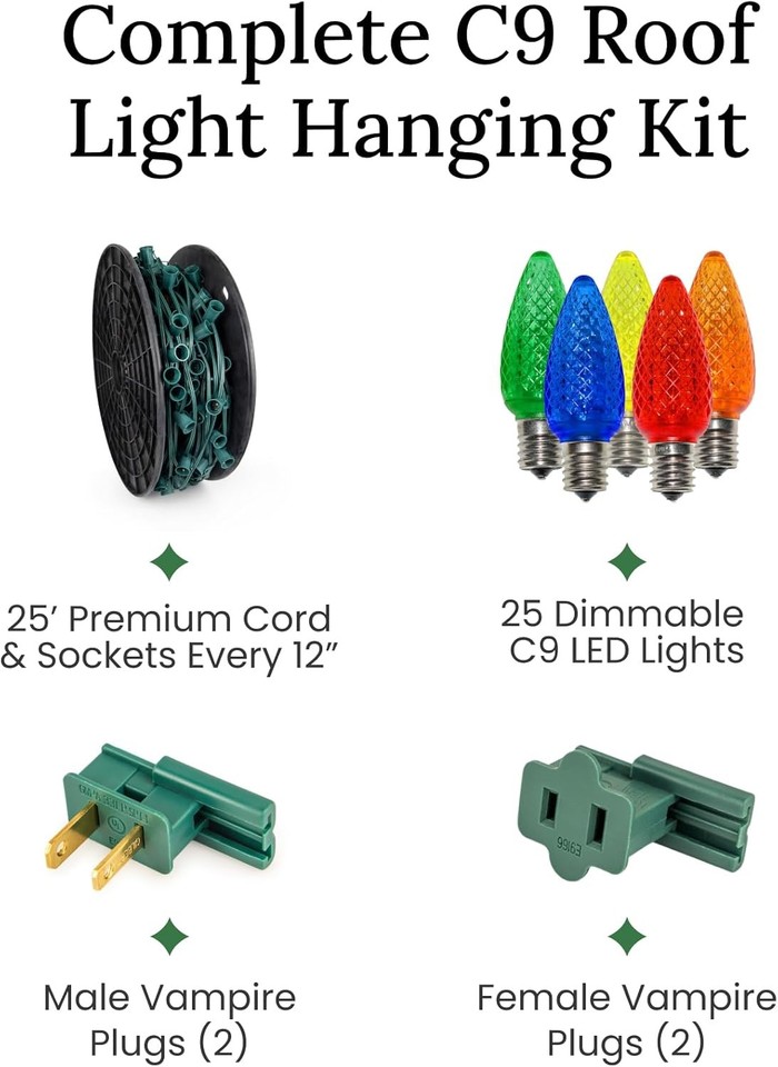 Pro Christmas C9 LED Christmas Light Kit for Rooflines & Pathways – DIY ...