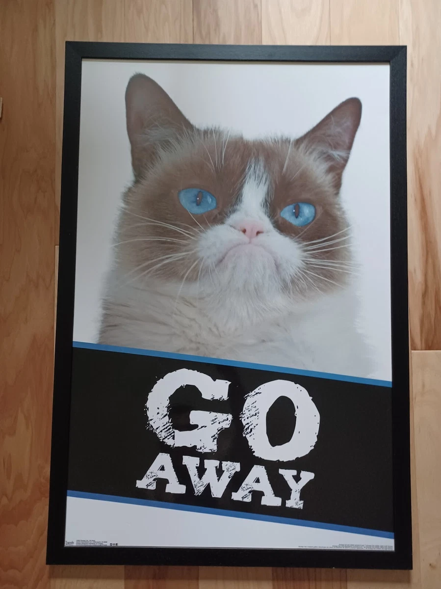 Grumpy Cat No Go Away
