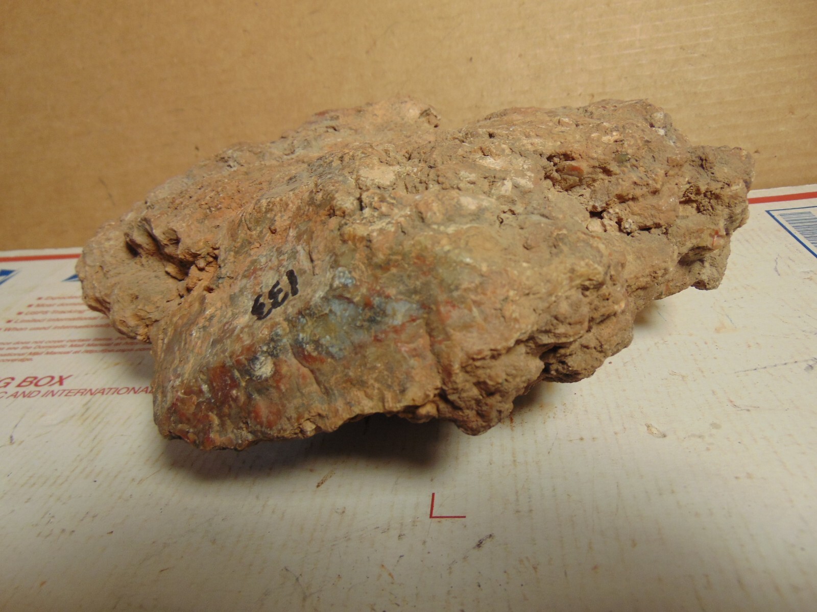 COPROLITE FOSSIL DINOSAUR POOP NICE LARGE SIZE BADLANDS SOUTH DAKOTA ...