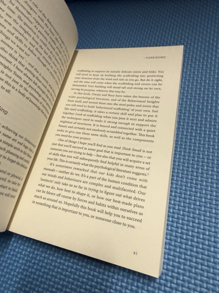 Think Small By Owain Service & Rory Gallagher Paperback | eBay Australia