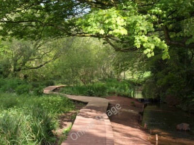 Photo 6x4 Boardwalk, Cockington valley Torquay Many years ago this was ...