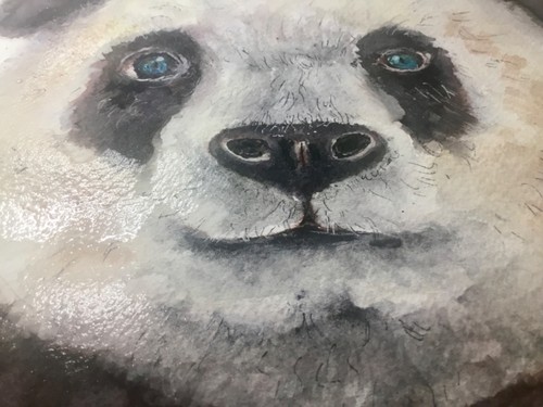 Gentle Eyes of the Panda – Original Watercolor Portrait on Pape | eBay