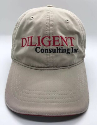 Diligent Consulting Inc Cap Hat Adjustable US Flag Integrity Skill ...