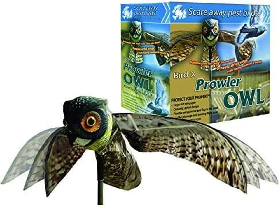 Prowler Owl, Lifelike Owl Decoy with Glassy Eyes and Moving Wings, Easy ...