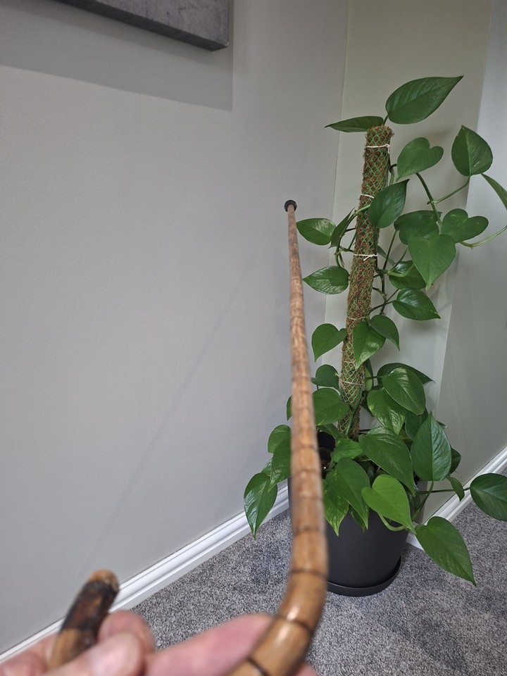 Vintage Bamboo Cane Walking Stick Slim Elegant Cane Lightweight But ...