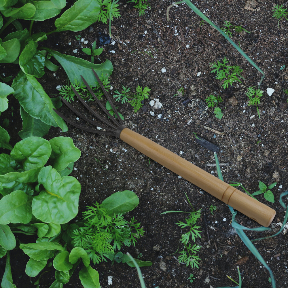 Wooden High-carbon Steel Five-tooth Rake Cleaning Gadgets Small Hand ...