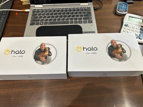 2 - Halo 3 GPS Invisible Fence Collars M/L (Perfect Condition) | eBay