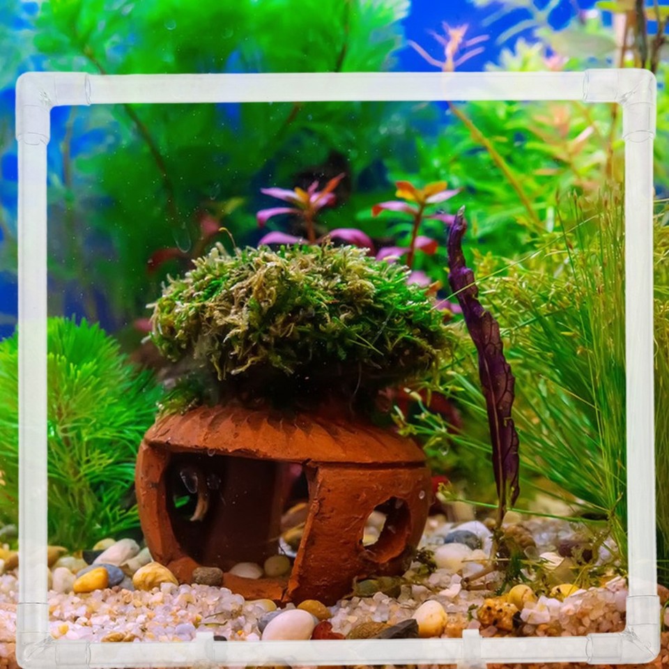 Tank Floating Plant Rings Fish Food Holder Feeder Aquarium Feeding ...