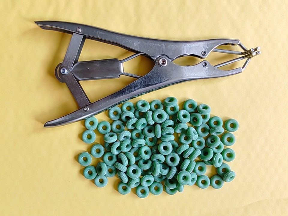 8" Heavy-Duty Elastrator Banding Tool Kit - Castration Pliers + 100 ...