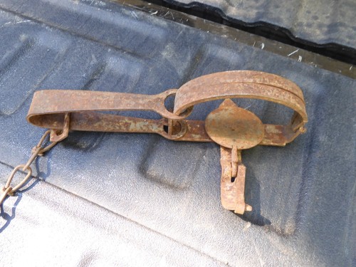 Blake & Lamb No. 2 1/2 Long Spring Trap - Vintage | eBay