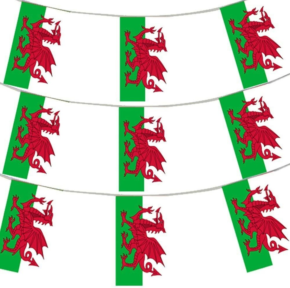 Welsh Flag Bunting Pennants Party Wales Dragon Six Nations Rugby ...