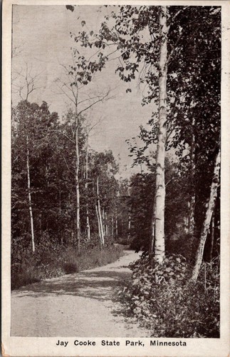 Postcard MN Carlton, Minnesota; Jay Cook State Park 1924 W1 | eBay