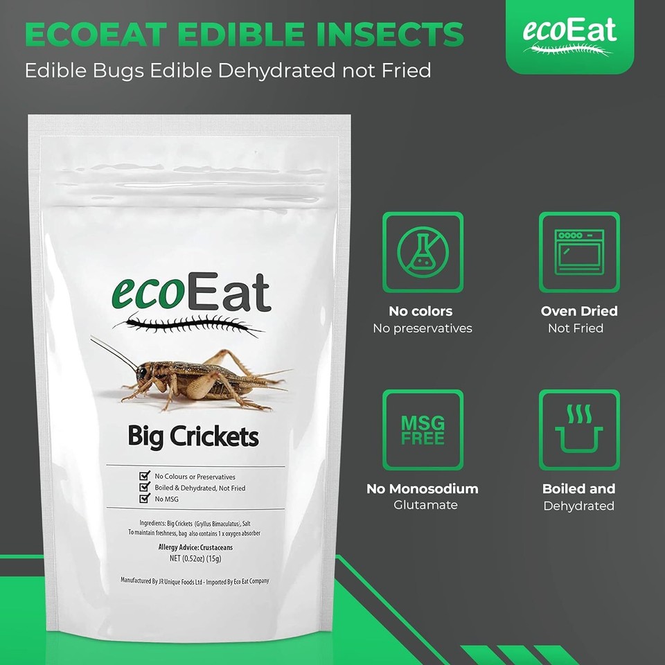Edible Insects Big Black Crickets to Eat – Edible Bugs Edible ...