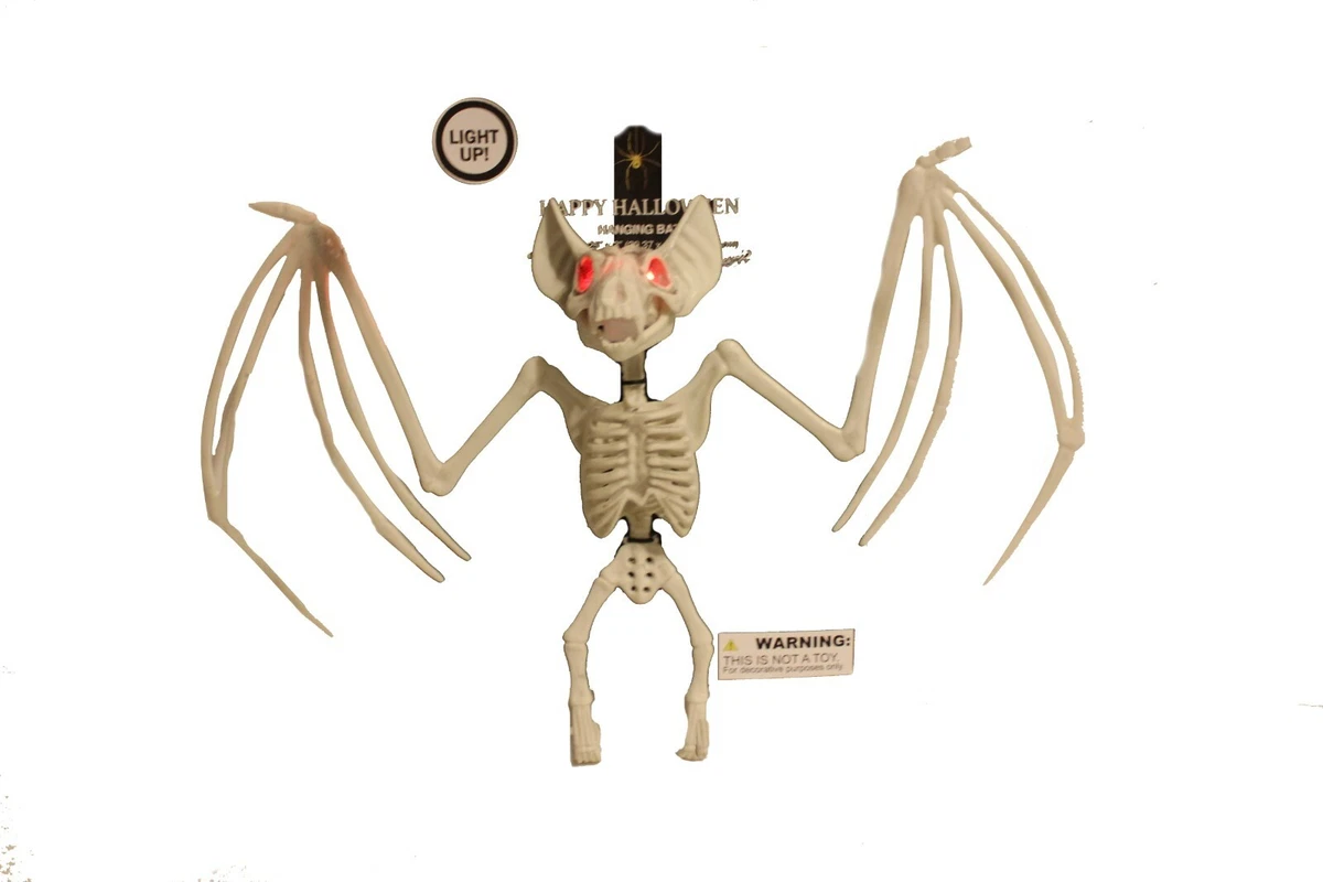 Giant Bat Skeleton