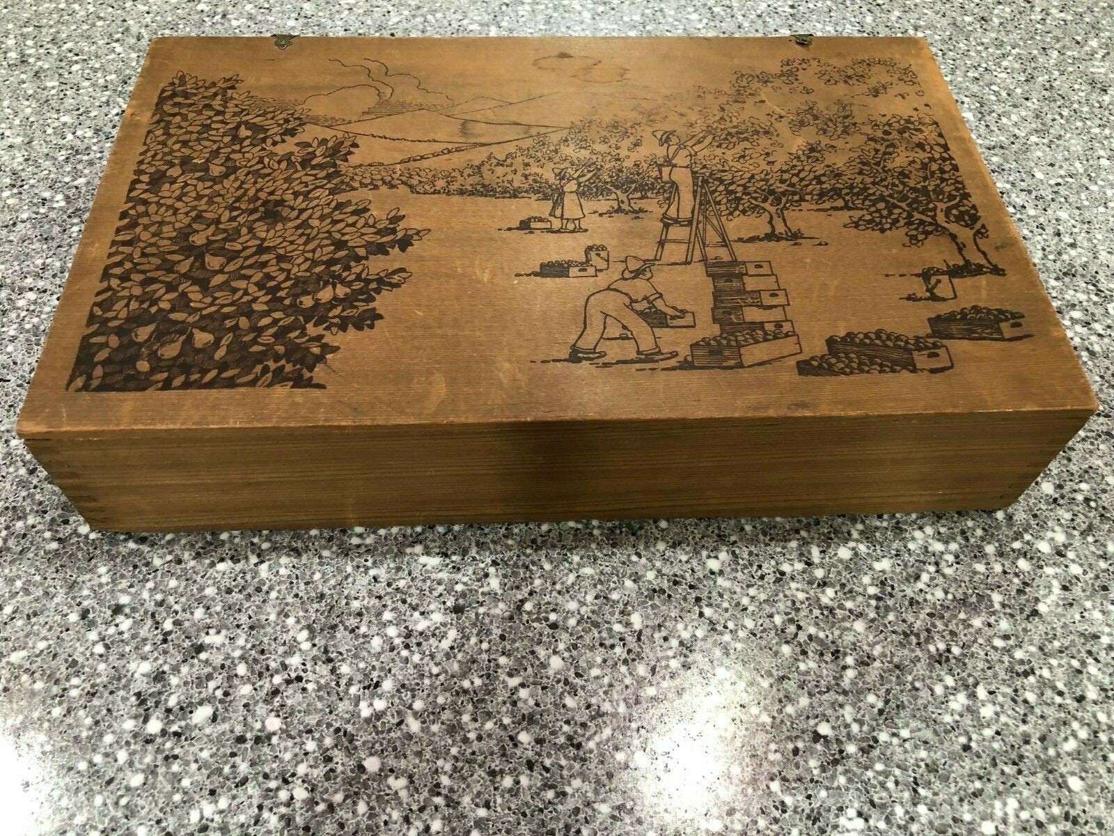 Vintage Wood Box Advertising Canoga Farms Encino CA Sun Ripe Fruits | eBay