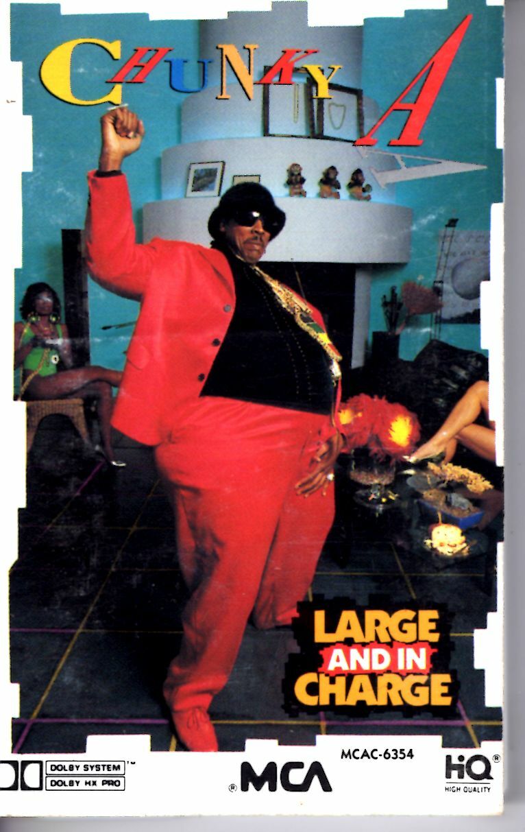 Chunky A Large & In Charge 1989 Cassette Tape Album Rap Hiphop | eBay